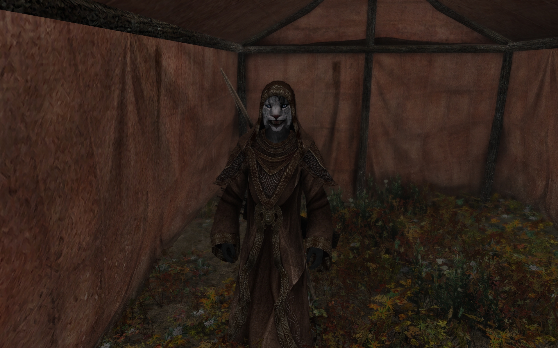 screenshot4907 – WULF