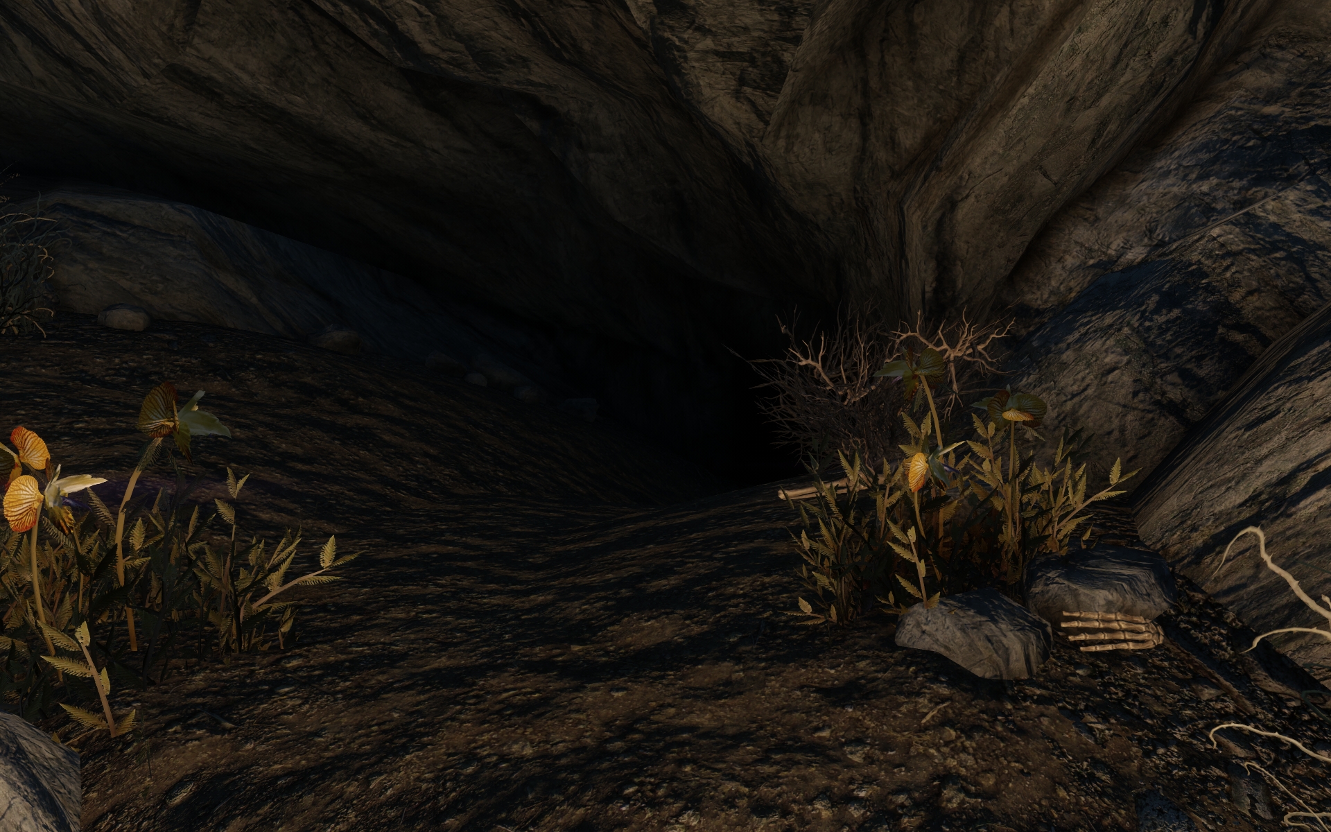 screenshot4751 – WULF